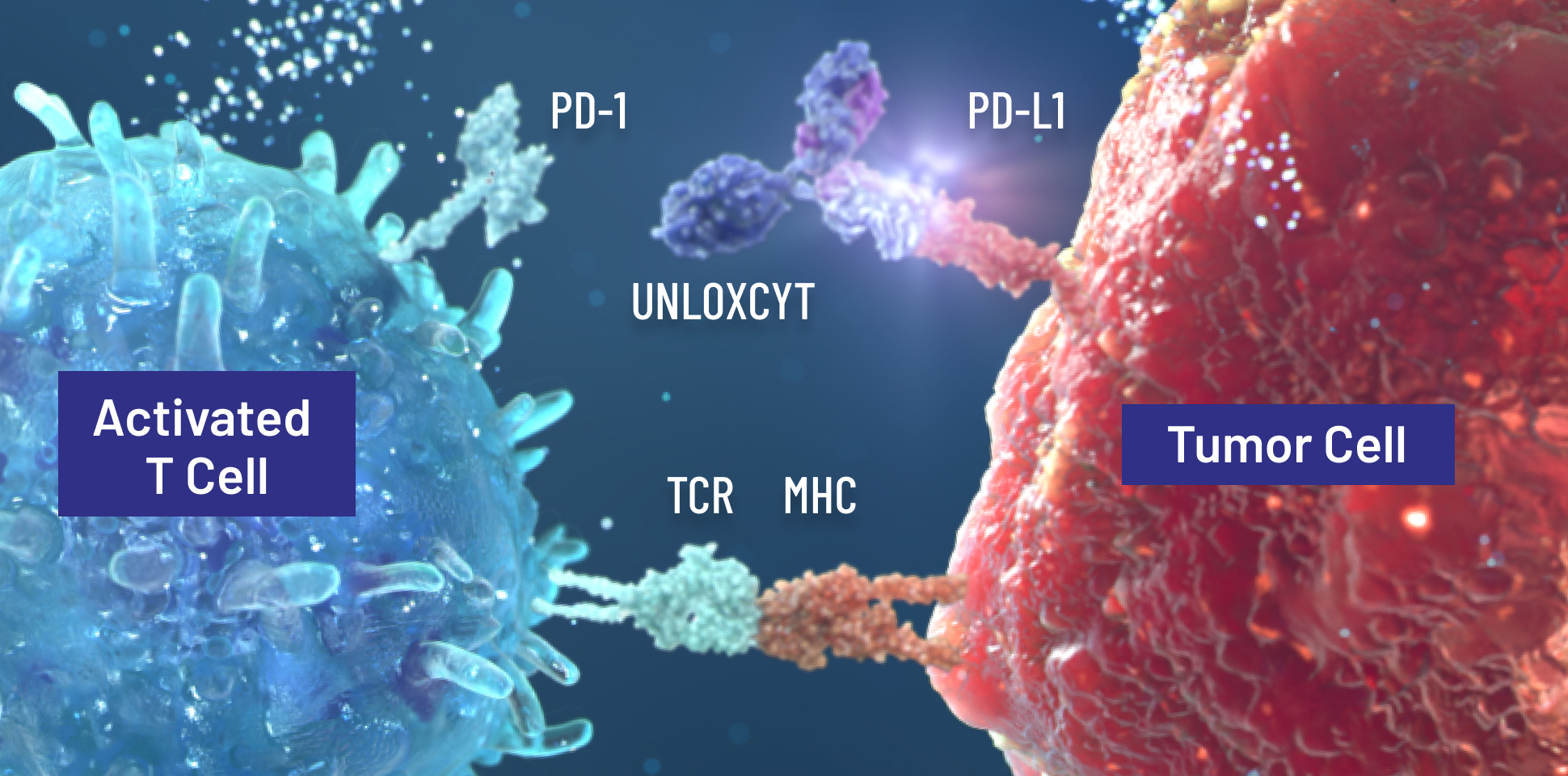 Mechanism of Action (MOA) | UNLOXCYT™ (cosibelimab-ipdl) Injection 300 mg